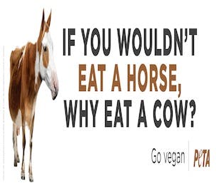 PETA steps into horse meat row with outdoor ad