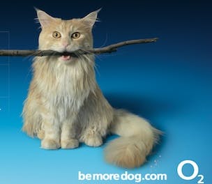 O2 enters 4G fray by encouraging UK to ‘be more dog’