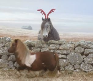 Three dancing pony returns for Christmas