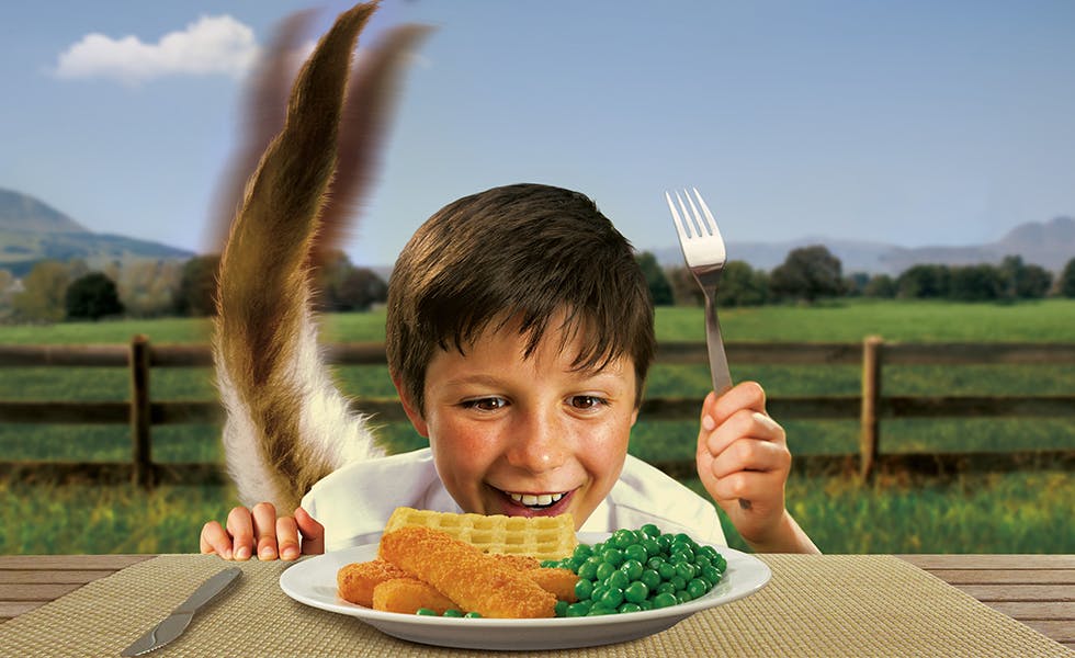 Birds Eye launches expansive rebrand as Captain Birdseye returns (yes ...