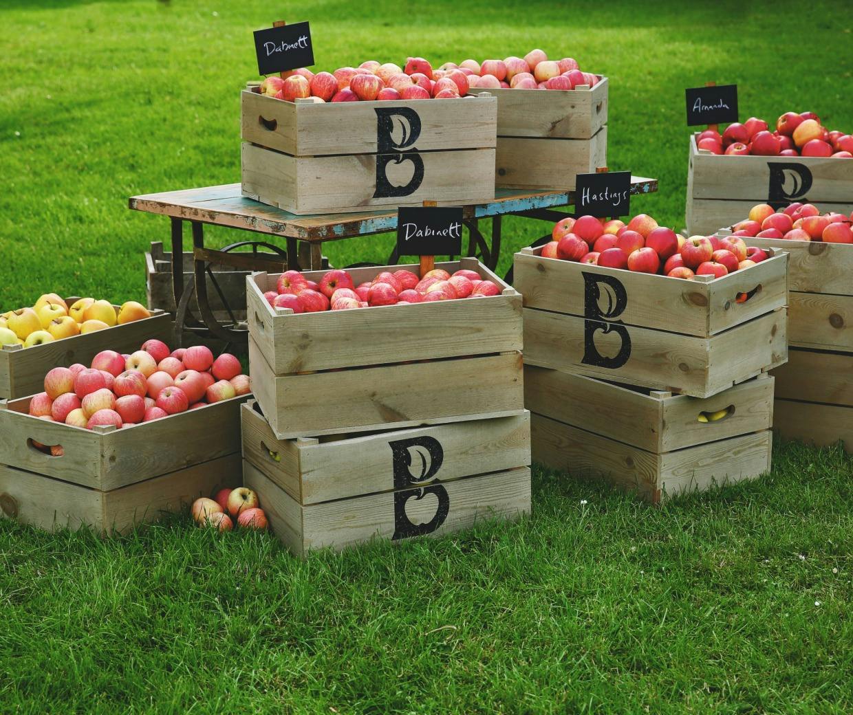 Bulmers launches new campaign to ‘revitalise’ the apple cider category
