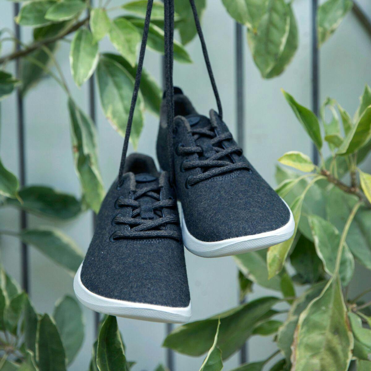 How sustainable shoe startup Allbirds plans to become a global brand