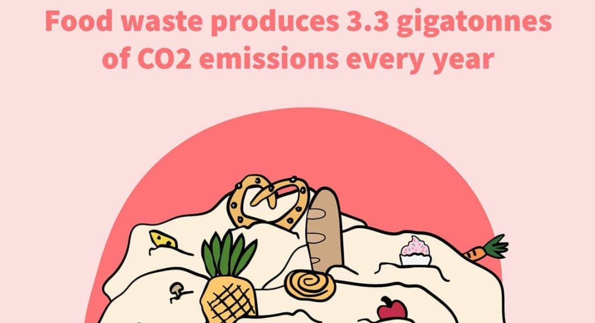 How one startup is leading the fight against food waste