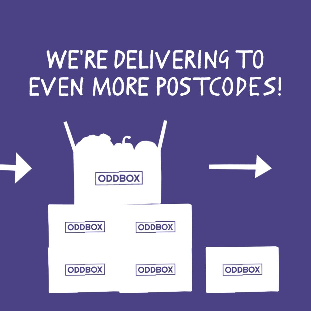 How Oddbox mastered national expansion while cutting campaign costs