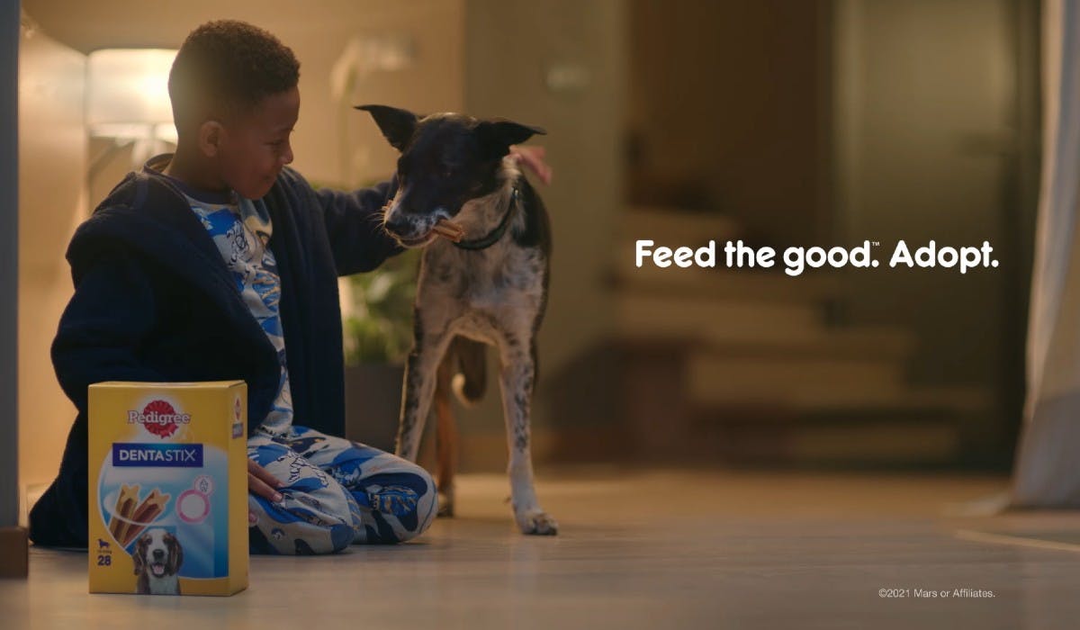 Mars Pet Nutrition appoints marketer Helen Warren-Piper to global ...