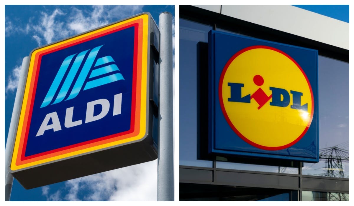 بورن نودز مصر