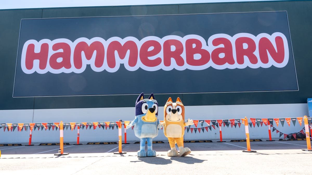 Bluey and Bunnings’ tie-up demonstrates all the benefits of co-branding
