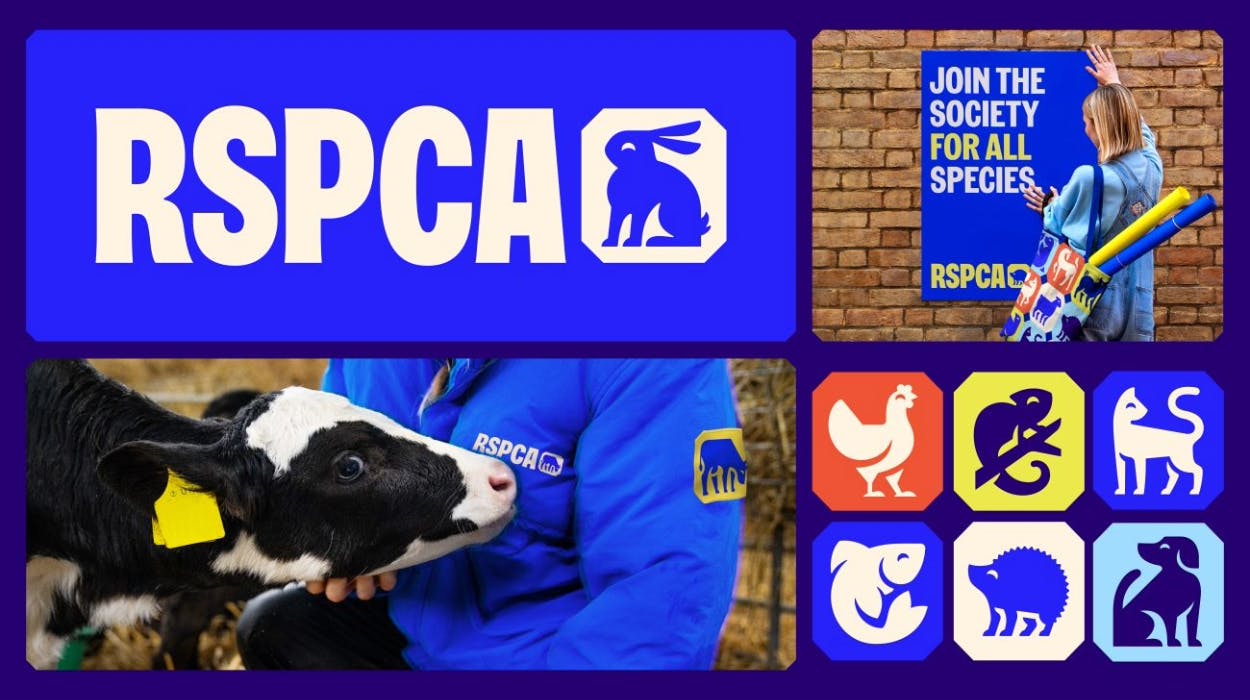 RSPCA undergoes largest brand transformation in 50 years