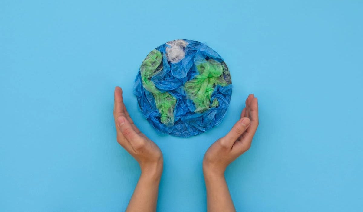 Why It Works: How two meerkats made insurance memorable