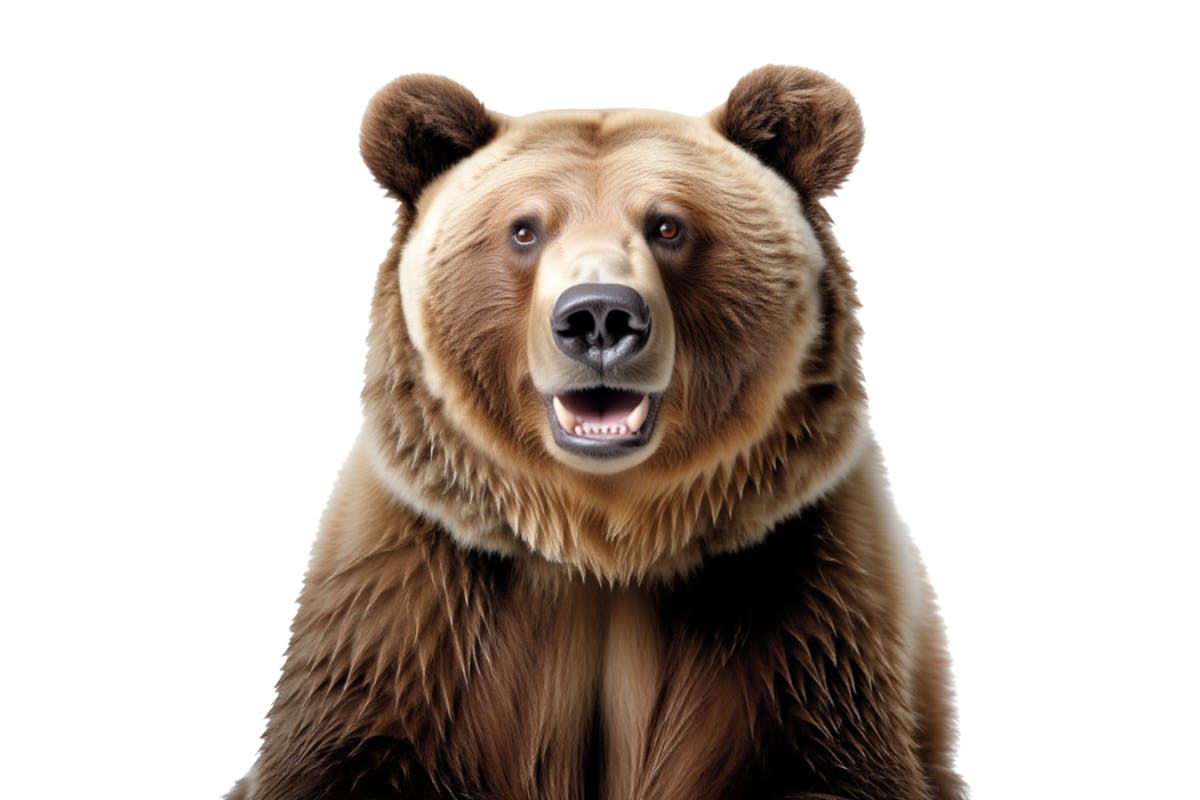 Boots CMO Pete Markey steps down