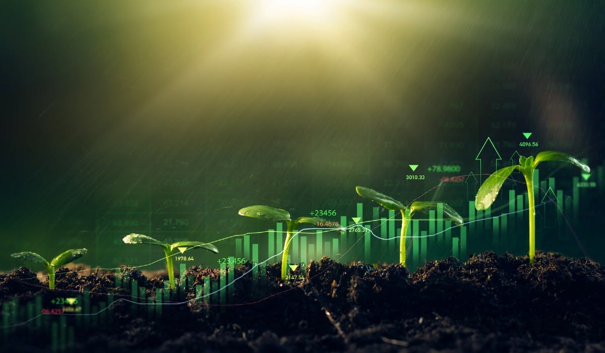 Les Binet and Peter Field on 10 years of the Long and Short of It